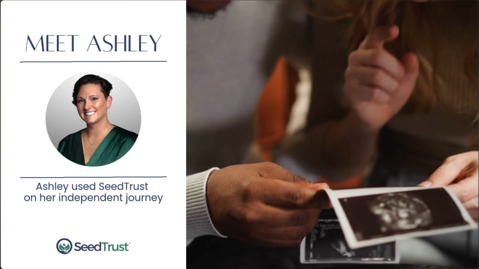 Resource Hub – SeedTrust Escrow